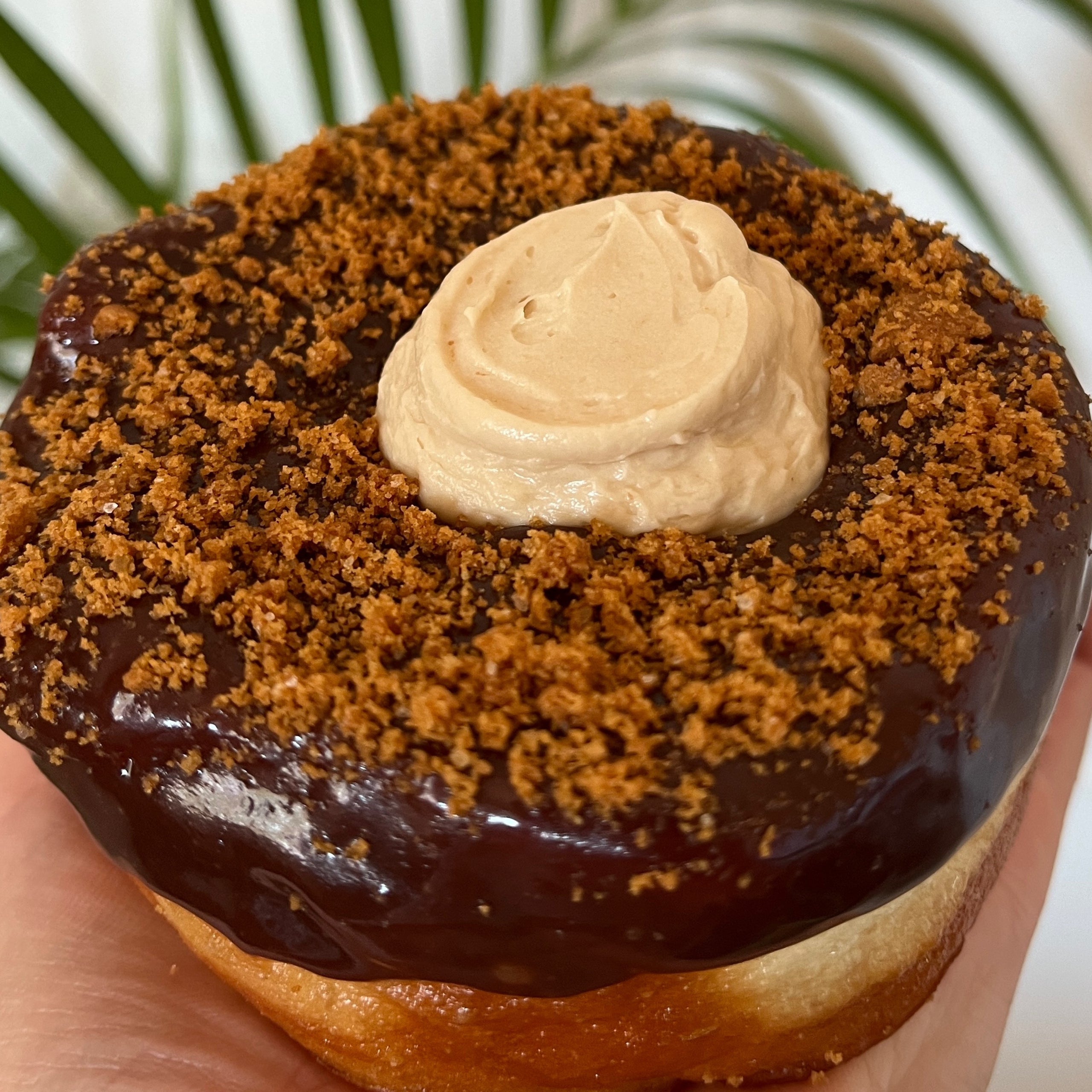 Choc Biscoff | Drip Lock